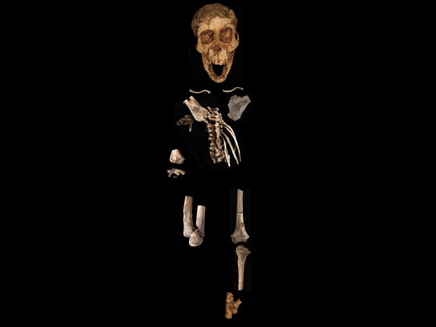 Lucy Bones Instagram Twitter And Facebook On Idcrawl